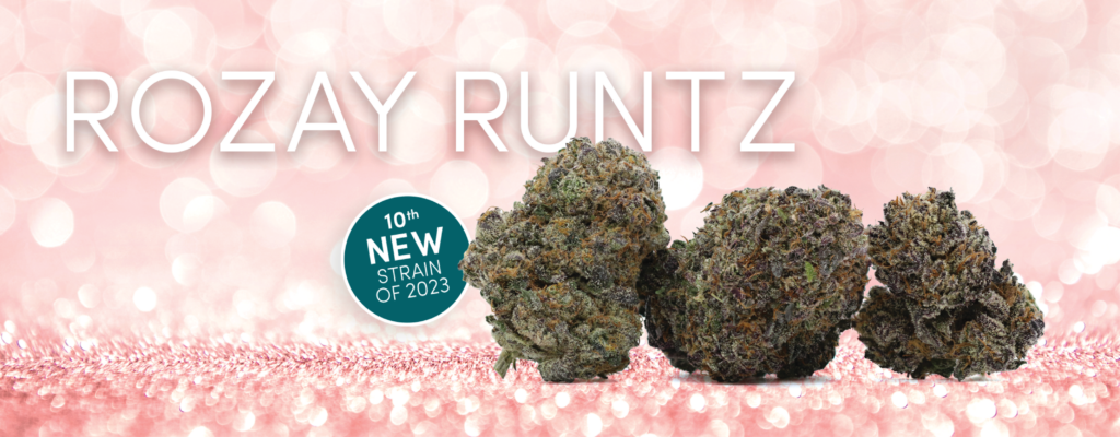 Rozay Runtz Weed Strain - Noa Botanicals