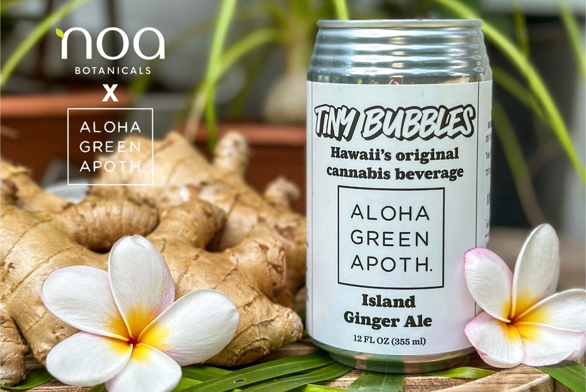 New Collaboration: Aloha Green Apothecary X Noa Botanicals- Tiny ...