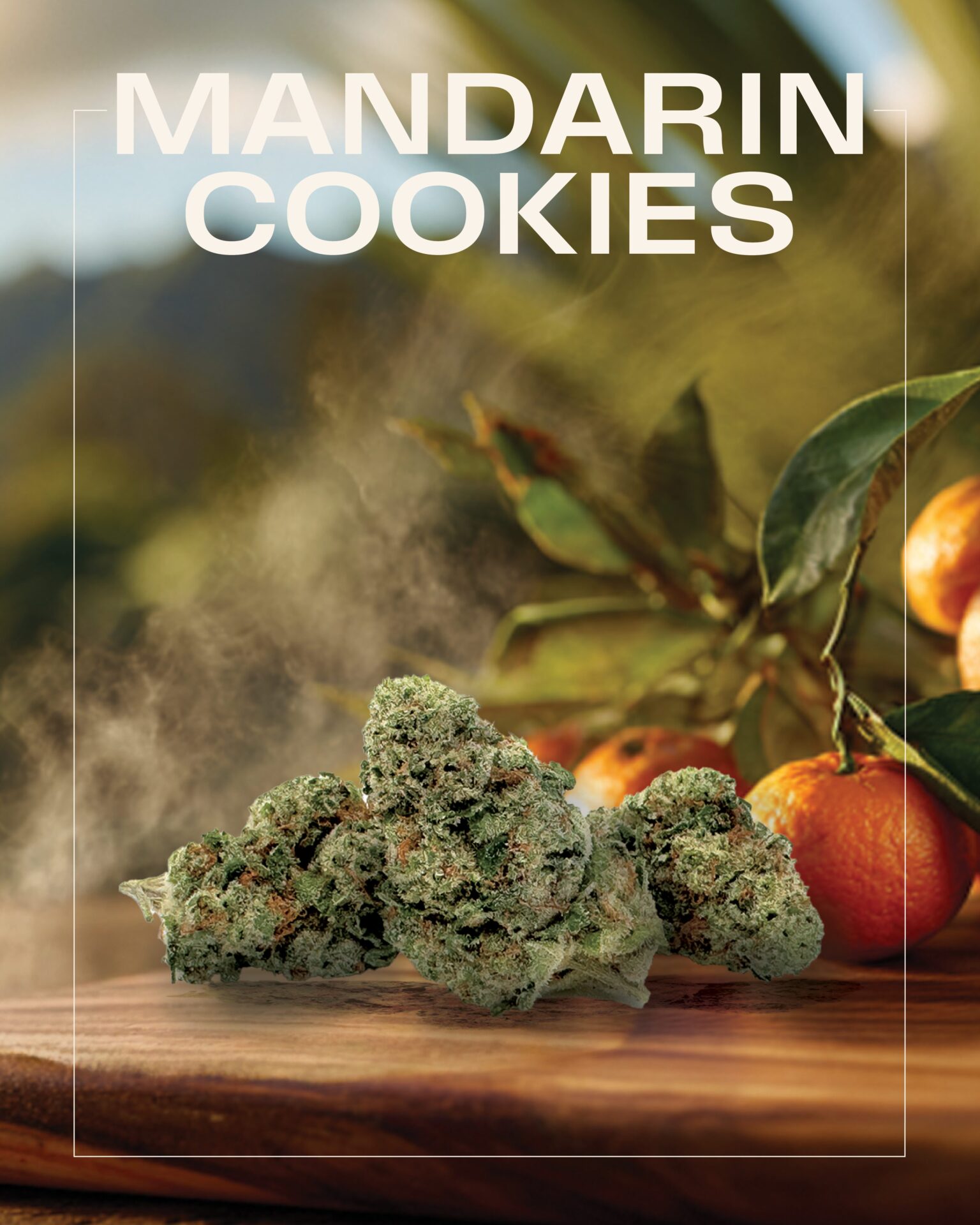 Mandarin Cookies Cannabis Strain